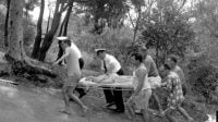 From the Archives, 1963: Fatal shark attack in Sydney Harbour kills ...