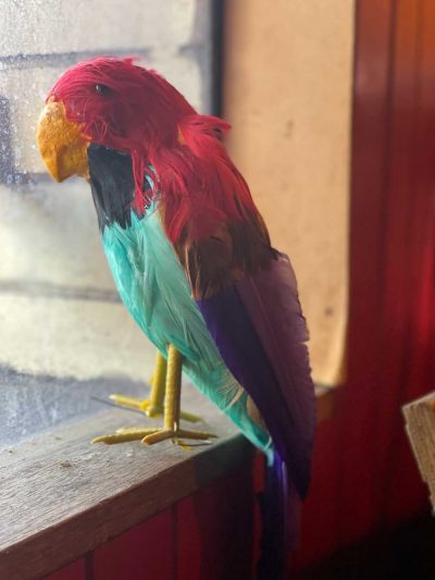 Iconic dive bar The Pickled Possum is about to reopen. Somebody pass ...