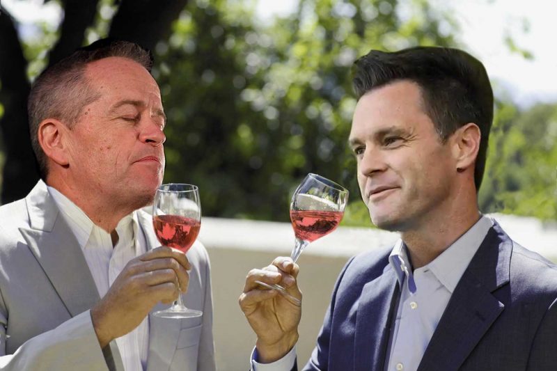 Exclusive: Here’s where Labor’s Chris Minns and Bill Shorten can buy a ...