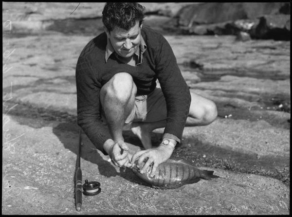 Flashback: In 1954, a terrifying “sea monster” was caught at Balmoral ...