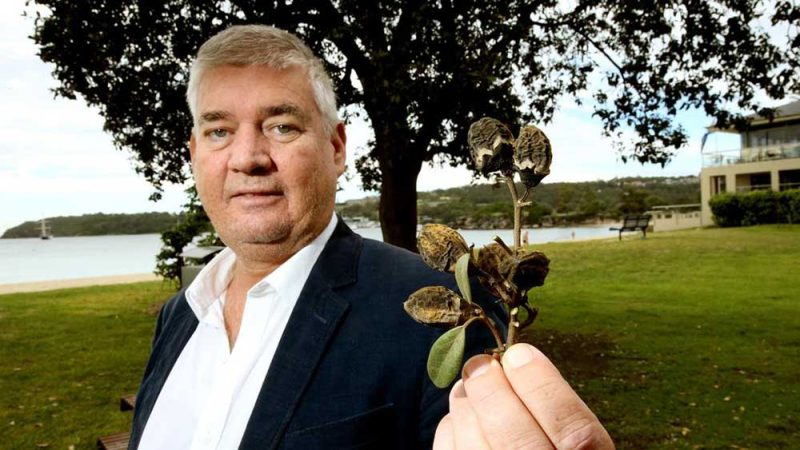 Local Government News: Mosman Councillor Roy Bendall elected as new ...