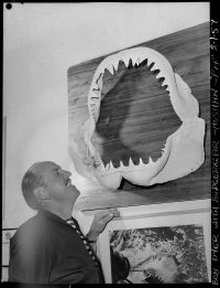 Bob and Dolly Dyer: Australian television pioneers, Pick-a-Box ...