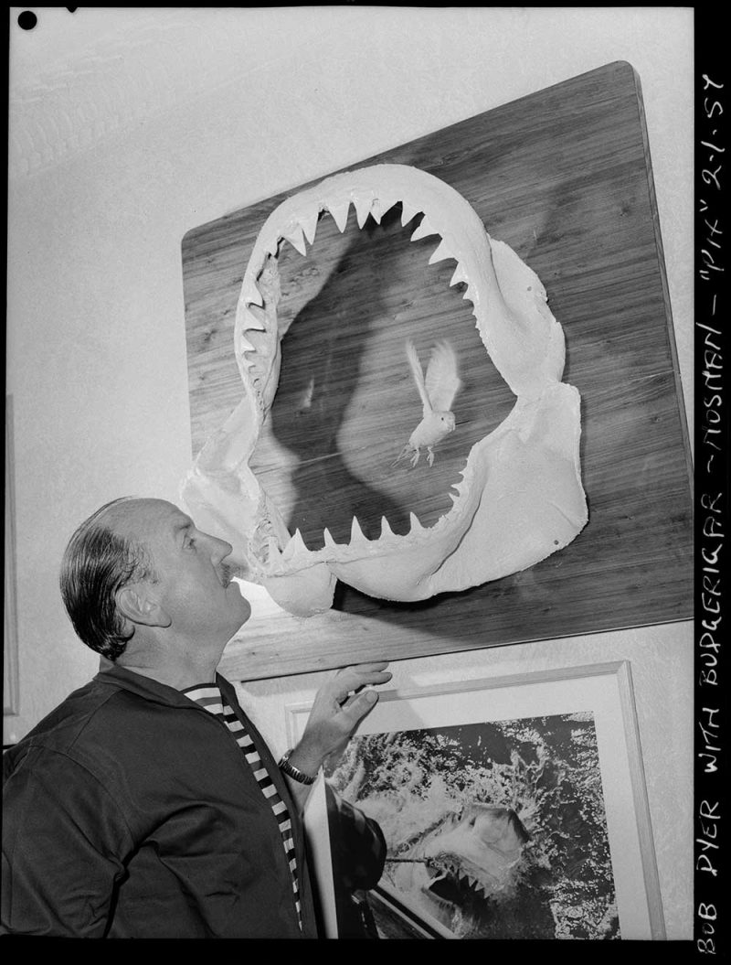 Bob and Dolly Dyer: Australian television pioneers, Pick-a-Box ...