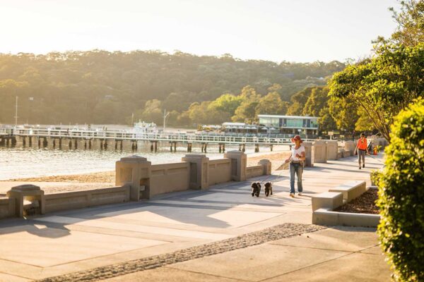 New mapping reveals the Mosman streets targeted under NSW housing ...