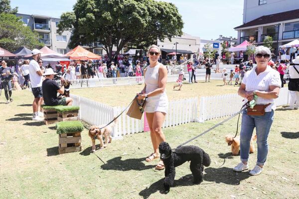 Mosman loves its dogs! Can you guess how many canines live in the LGA ...